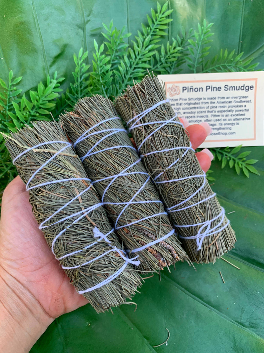 Piñon Pine Sage Smudge Bundle – Mayan Rose